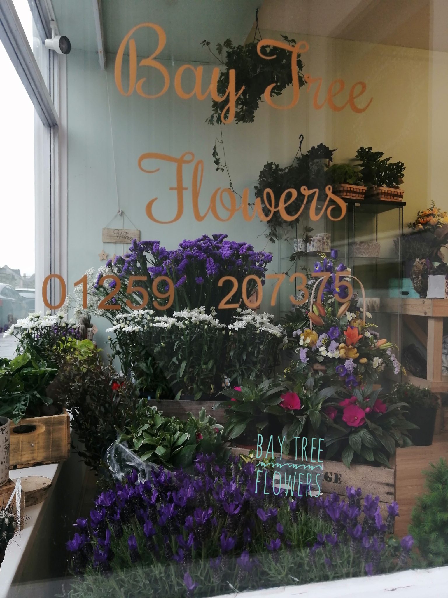 About Us | Find out who we are | Bay Tree Flowers