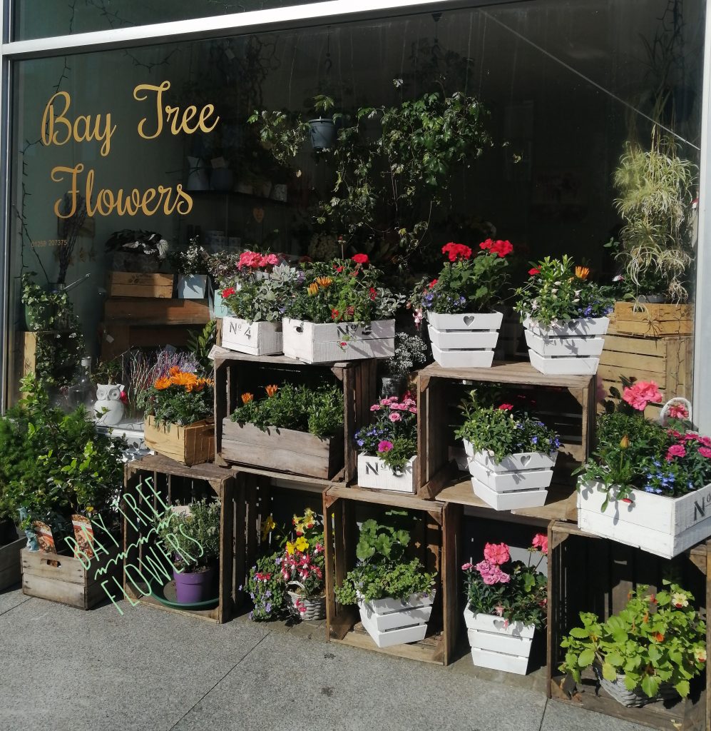 Home - Bay Tree Flowers