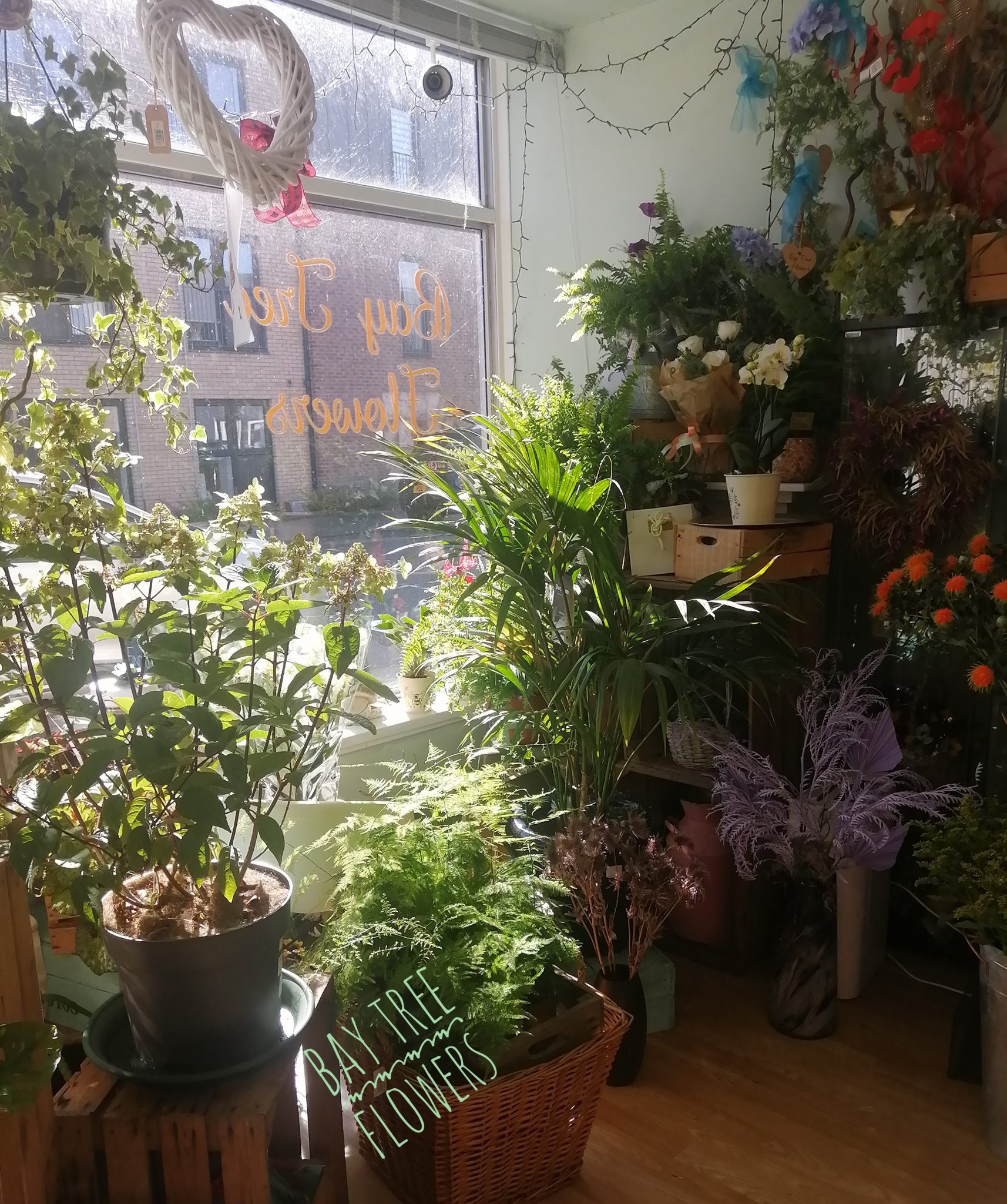 Home - Bay Tree Flowers